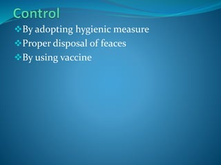 Toxoplasma | PPTX | Infectious Diseases | Diseases and Conditions