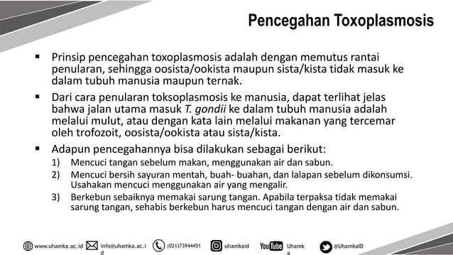 Toxoplasma.pptx