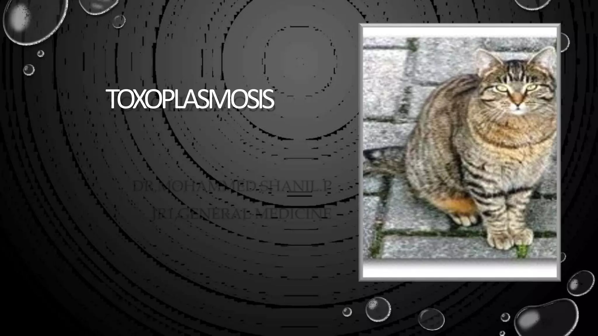 toxoplasma.pptx