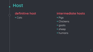 Toxoplasma gondi.pptx