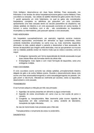 Toxoplasma gondii | DOCX