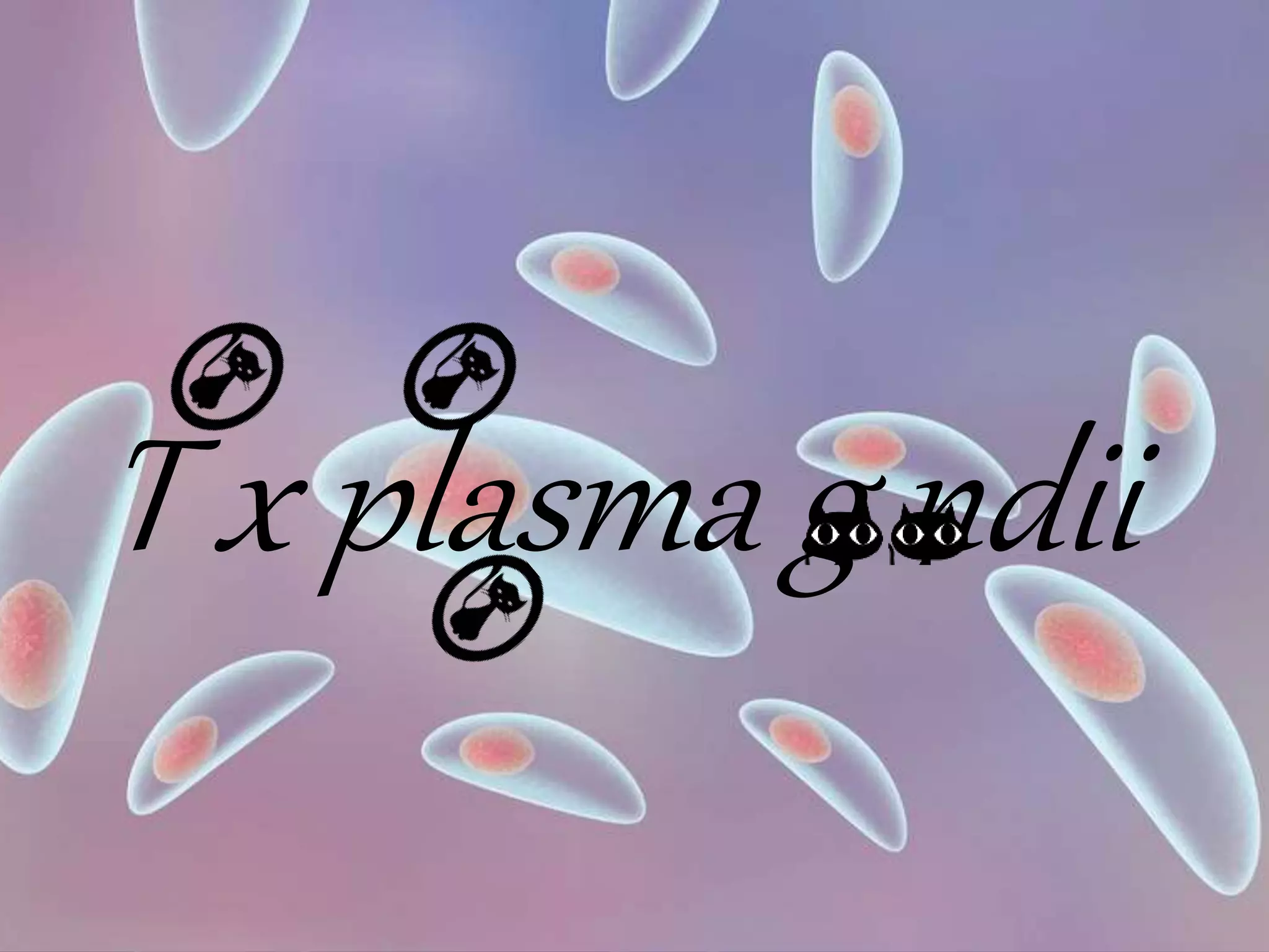 Toxoplasma gondii | PPTX