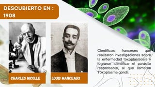 TOXOPLASMA GONDII.pdf diapositivas prueba serológicas, epidemiología y ...