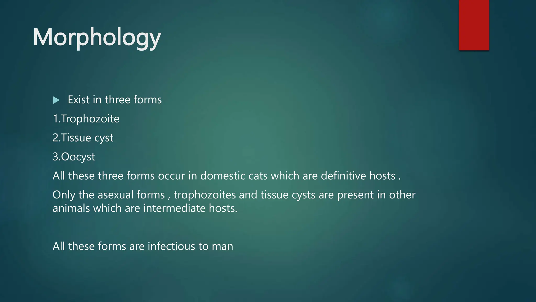 Toxoplasma gondii an oppertunistic parasite | PPTX