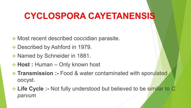 Toxoplasma gondii and cyclospora | PPTX