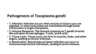 TOXOPLASMA GONDII of parasitology bio science | PDF