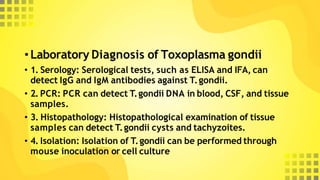 TOXOPLASMA GONDII of parasitology bio science | PDF