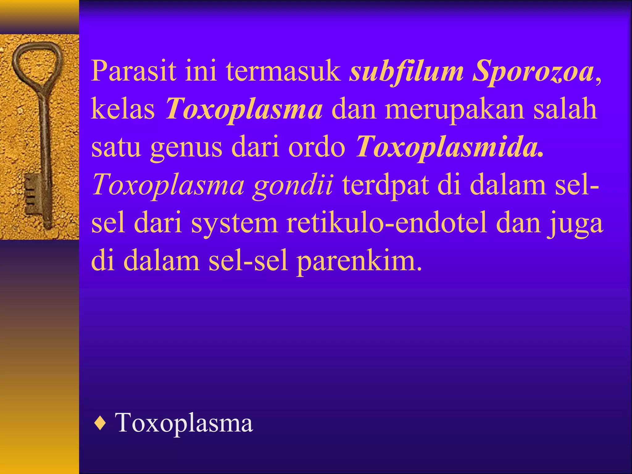 Toxoplasma | PPT