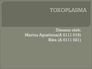 Toxoplasma | PPT