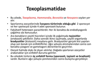 toksoplazma | PDF