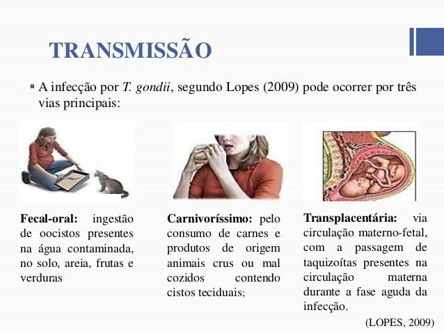 Toxoplasmose e Rúbeola