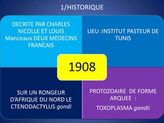 Toxoplasmose final | PPTX