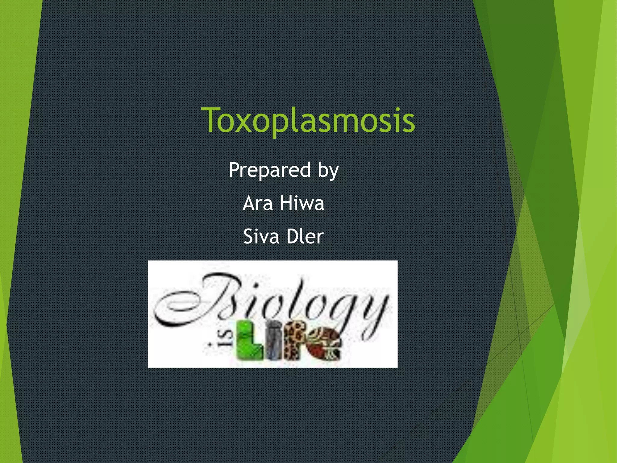 Toxoplasmosis | PPTX