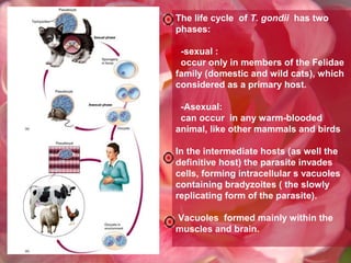 Toxoplasmosis | PPT
