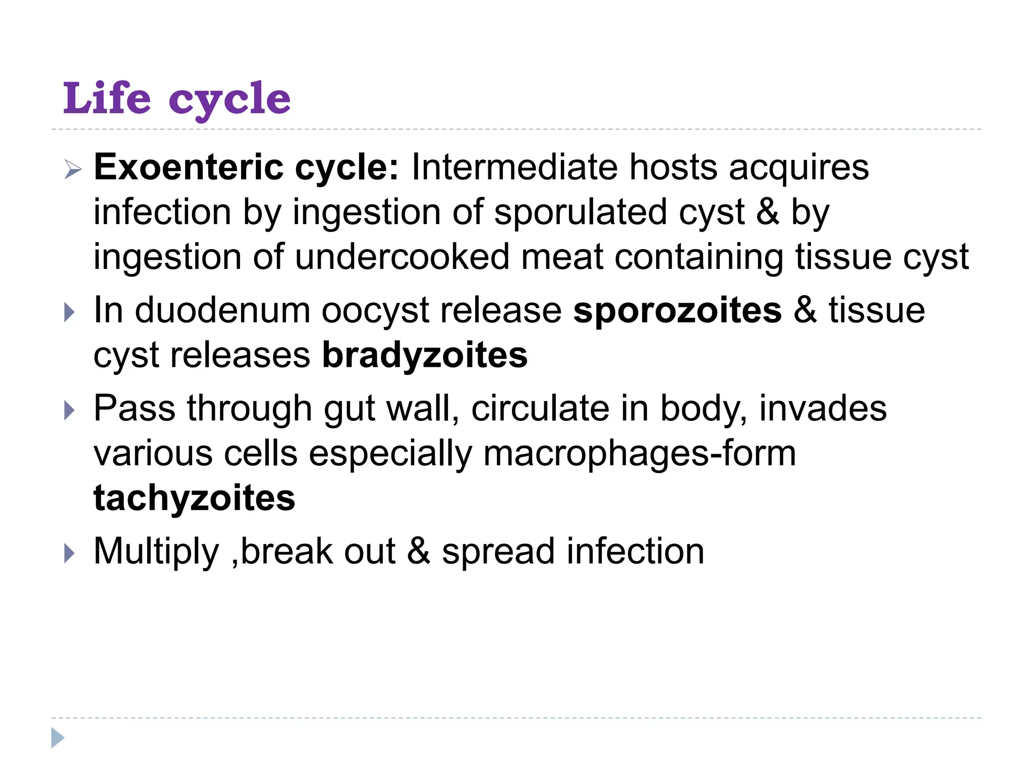Toxoplasmosis | PPTX