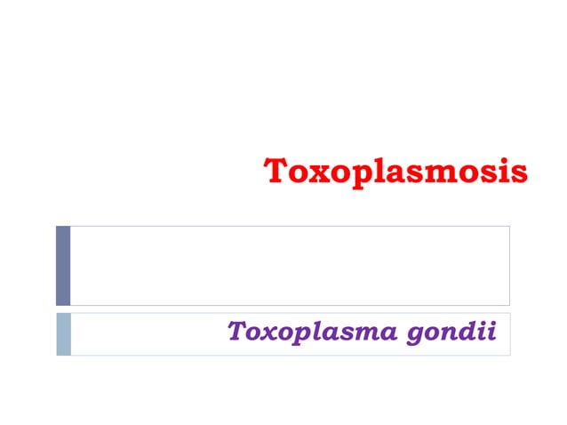 Toxoplasmosis | PPTX | Infectious Diseases | Diseases and Conditions