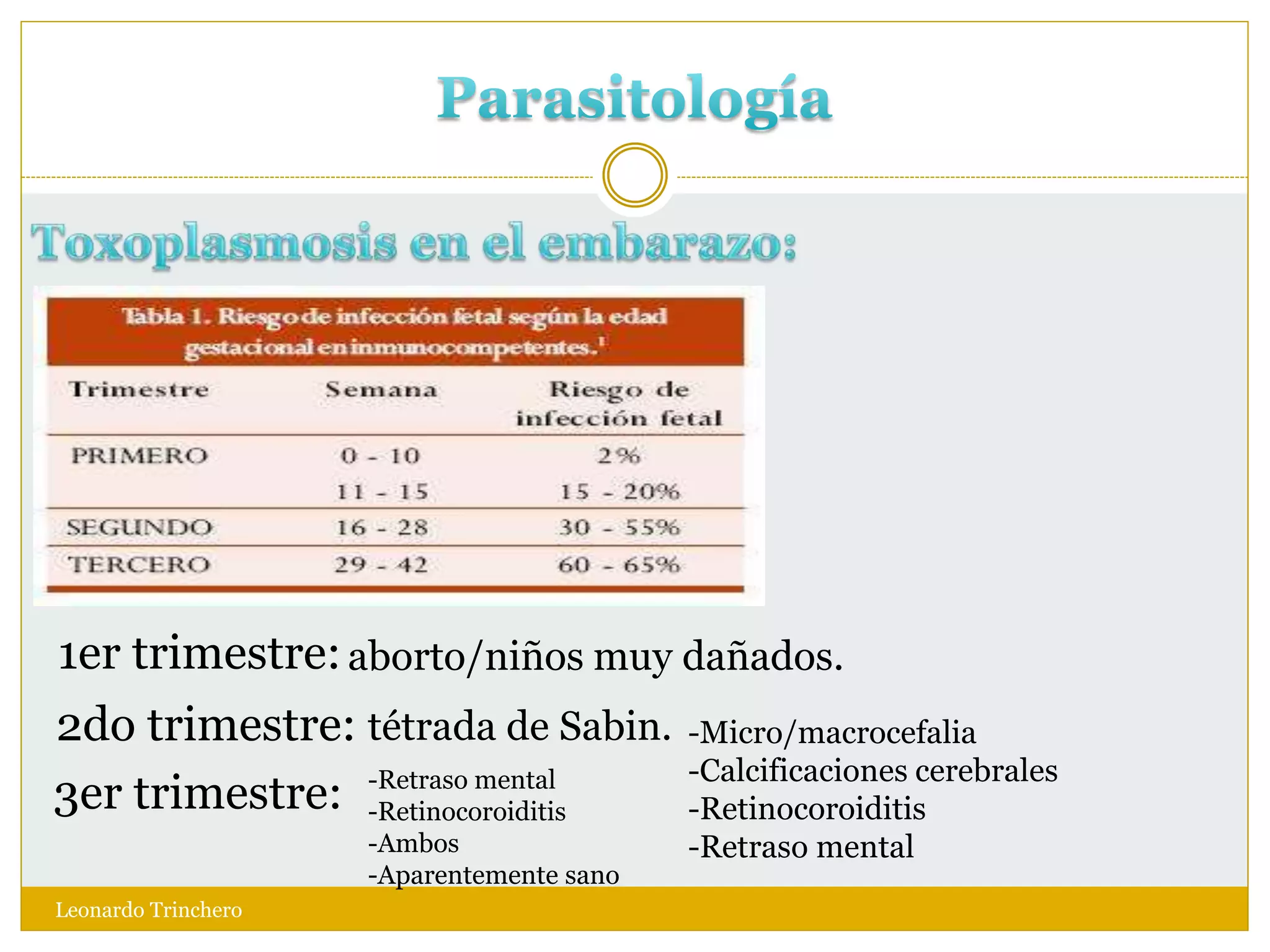 Toxoplasmosis | PPTX | Infectious Diseases | Diseases and Conditions