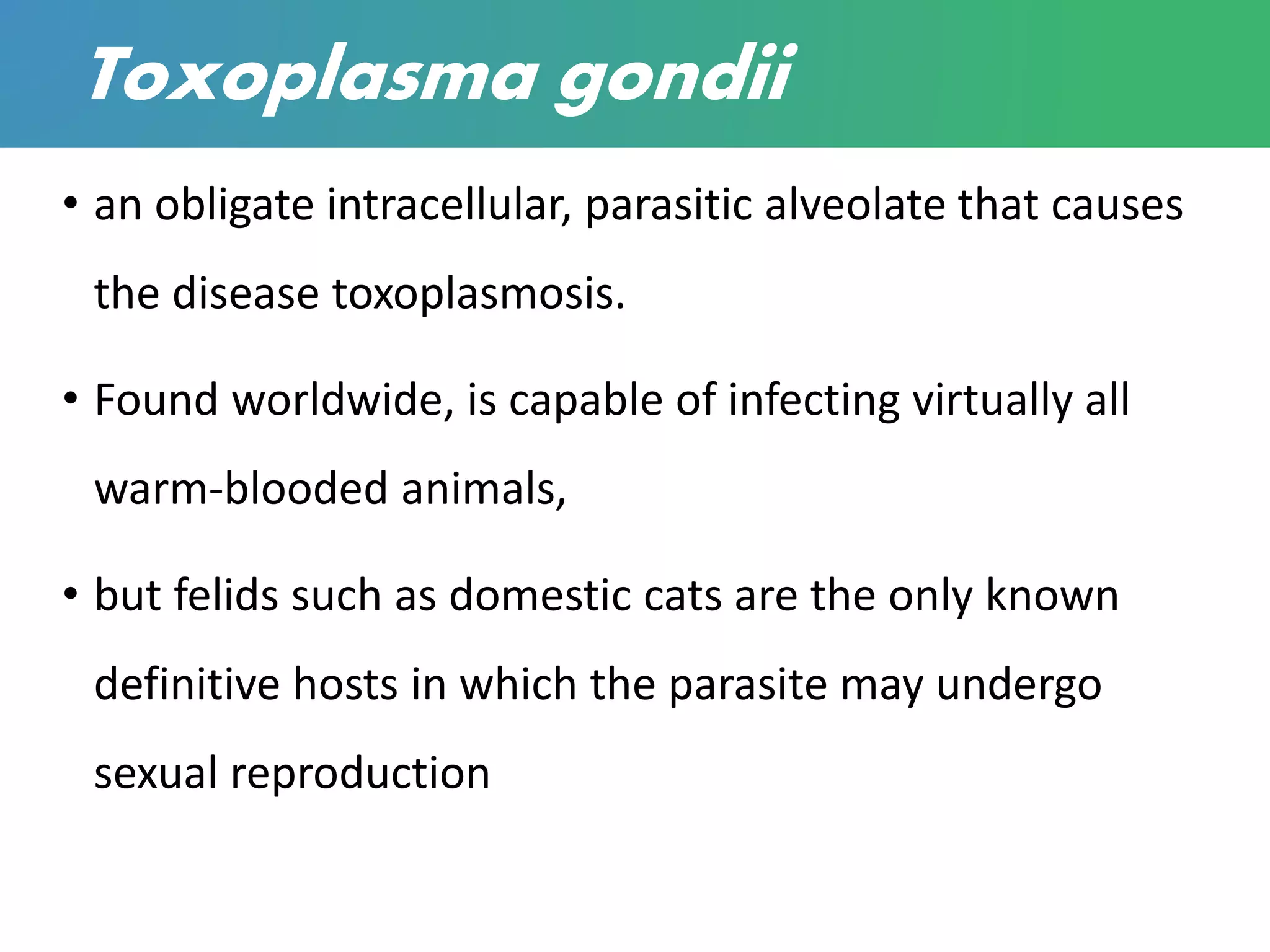 Toxoplasmosis - an obligate intracellular parasitie | PDF