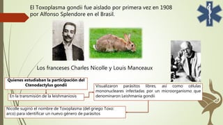 Toxoplasmosis (Toxoplasma gondii) | PPTX