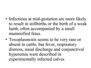 Toxoplasmosis | PDF