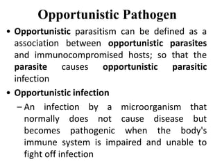 Toxoplasmosis | PPT