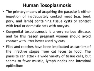 Toxoplasmosis | PPT