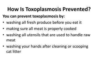 Toxoplasmosis | PPT
