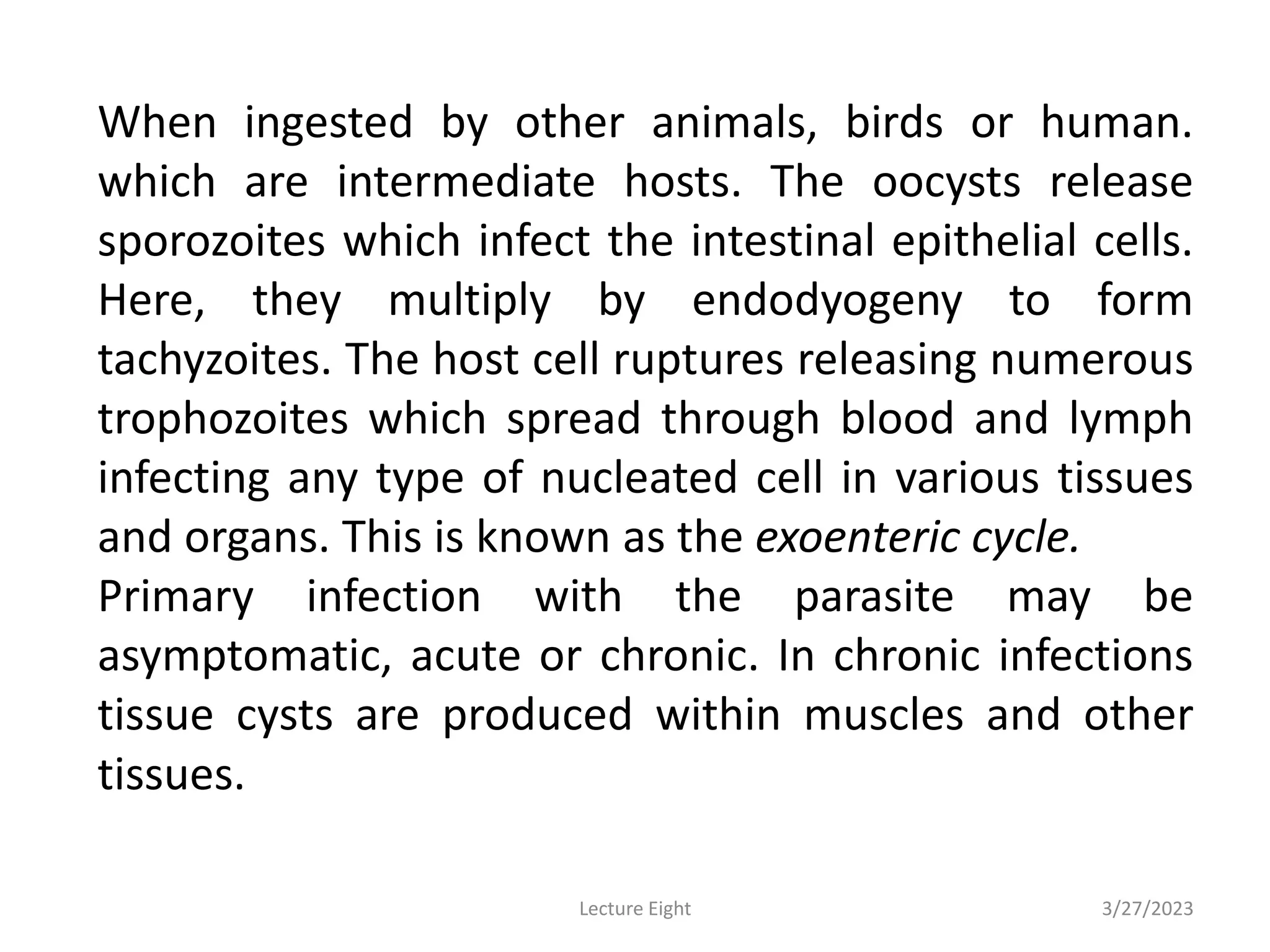 Toxoplasmosis.pptx
