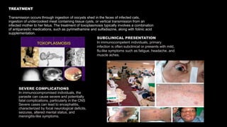"Toxoplasmosis Associated Meningitis ( infectious disease ) | PPTX