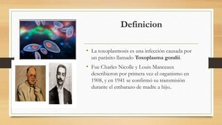 Toxoplasmosis tambien tiene diagnostico y intervenciones para enfermera ...