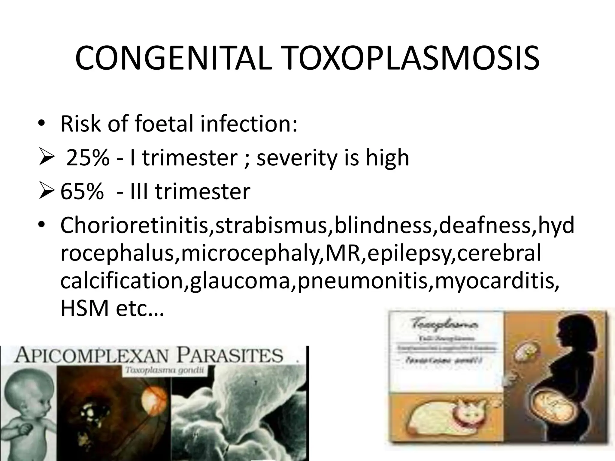 toxoplasmosis etiology pathogenesis and treatment | PPTX