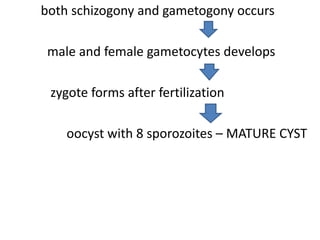 toxoplasmosis etiology pathogenesis and treatment | PPT