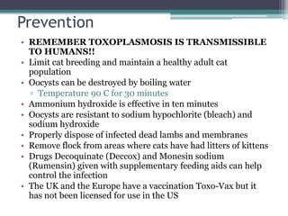 Toxoplasmosis Gondi For Generic Nursing Student | PDF