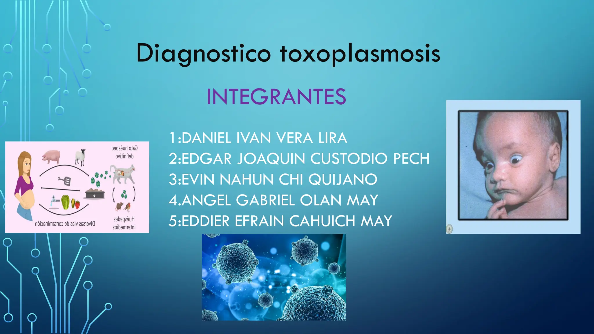 toxoplasmosis.pptx ¿Que es el toxoplasmosis? | PPTX