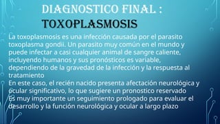 toxoplasmosis.pptx ¿Que es el toxoplasmosis? | PPT