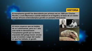 TOXOPLASMOSIS - V.Y.C.H..pptx
