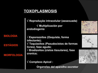 Inmunologia y Toxoplasmosis- Toxoplasma Gondii | PPT