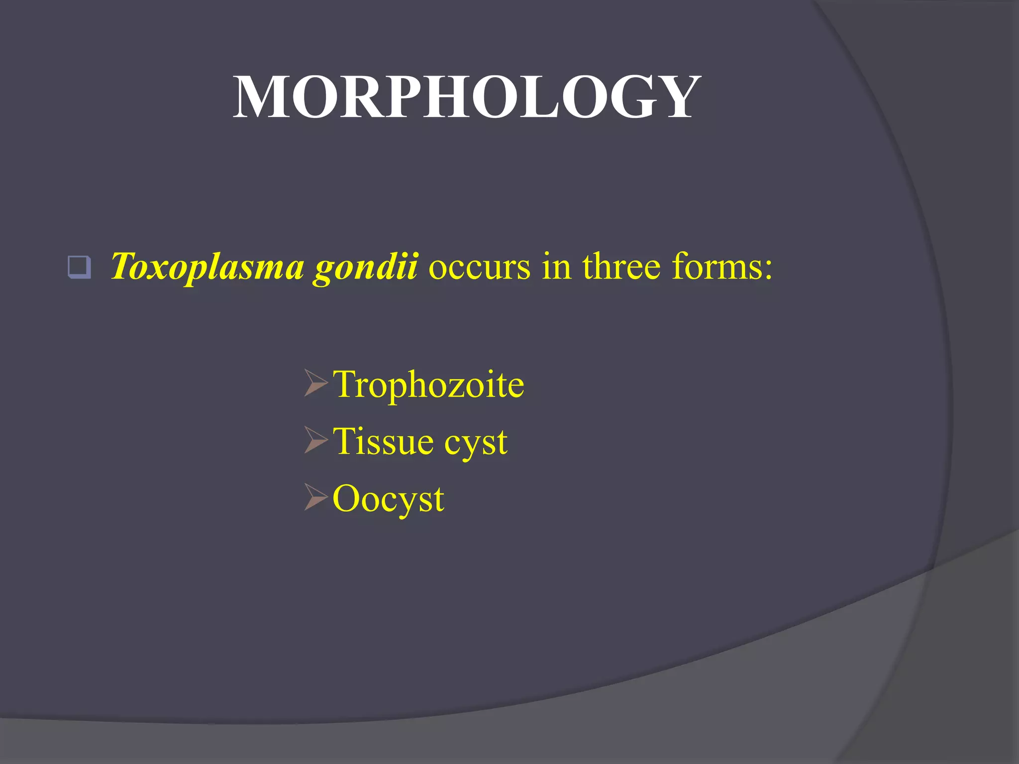 Toxoplasmosis PPt (Hemapriya-II PG).pptx