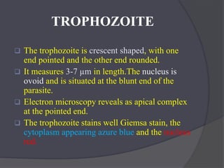 Toxoplasmosis PPt (Hemapriya-II PG).pptx