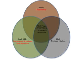 Tox overview & cicm questions | PPTX
