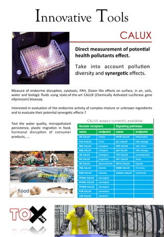 Toxpro presentation engl | PDF