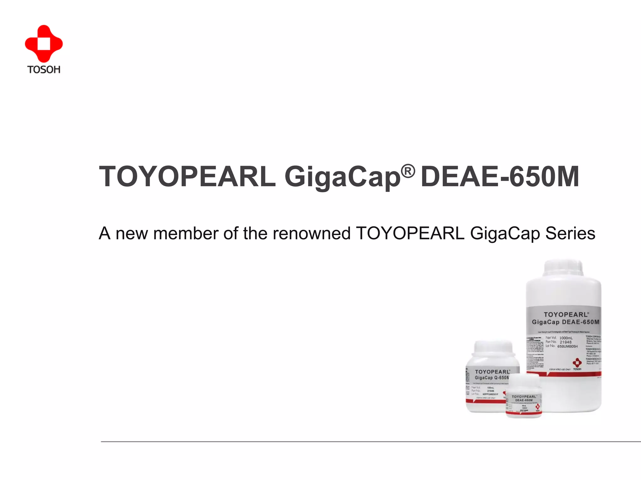 TOYOPEARL GigaCap DEAE product information | PDF