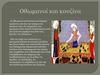 ΤΟΥΡΚΙΚΗ ΚΟΥΖΙΝΑ | PPT