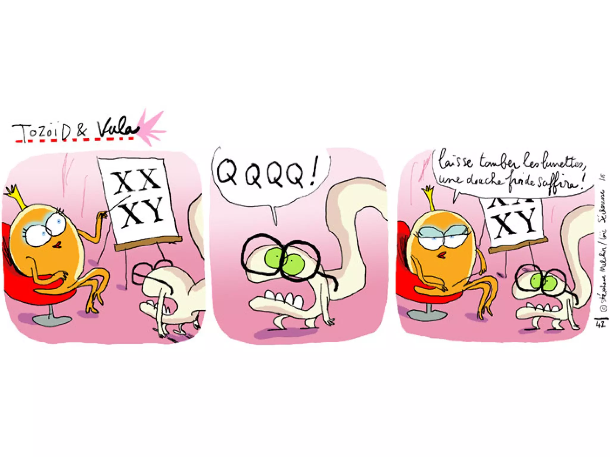 Tozoid Et Vula | PPT