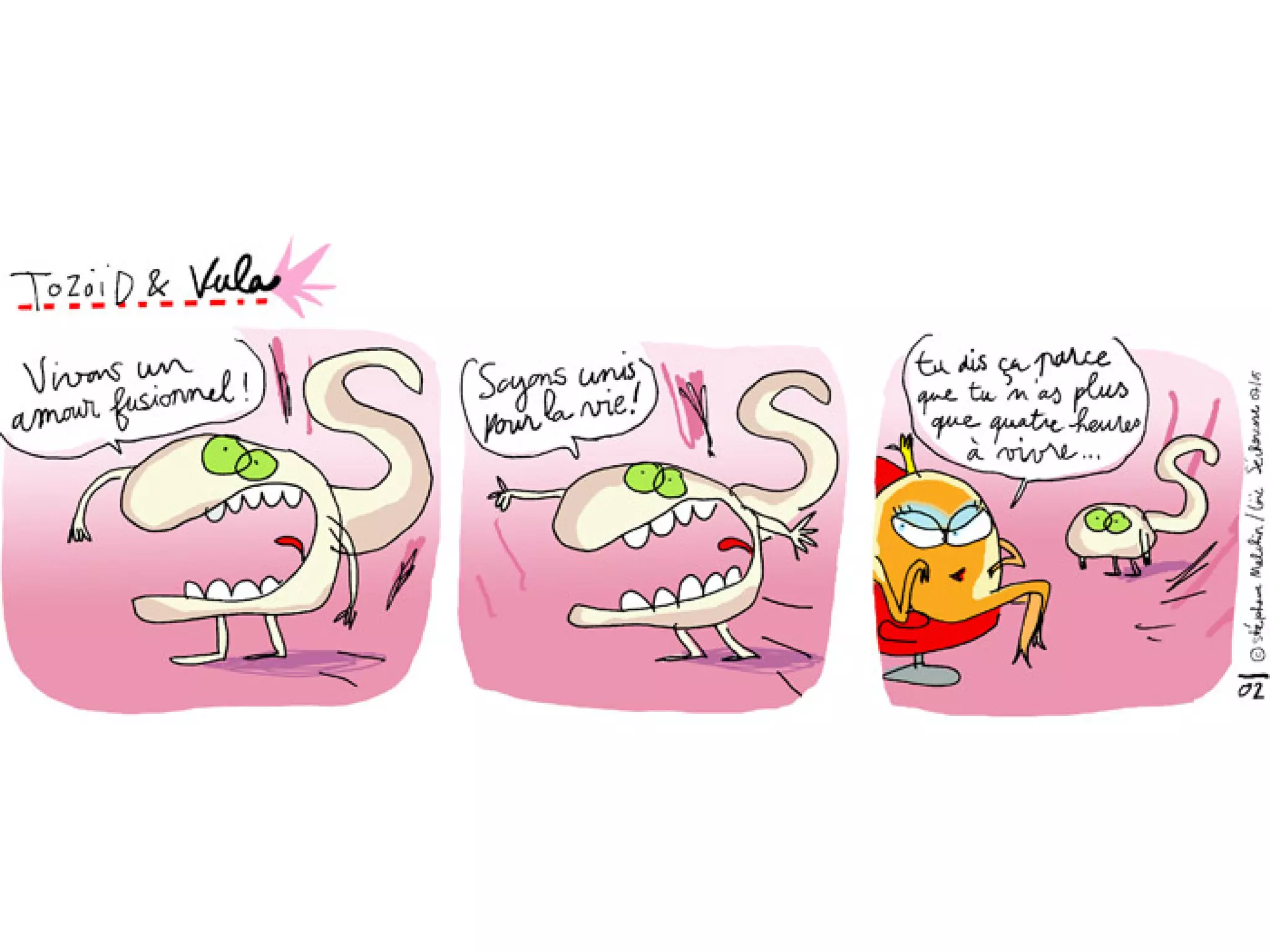 Tozoid Et Vula | PPT