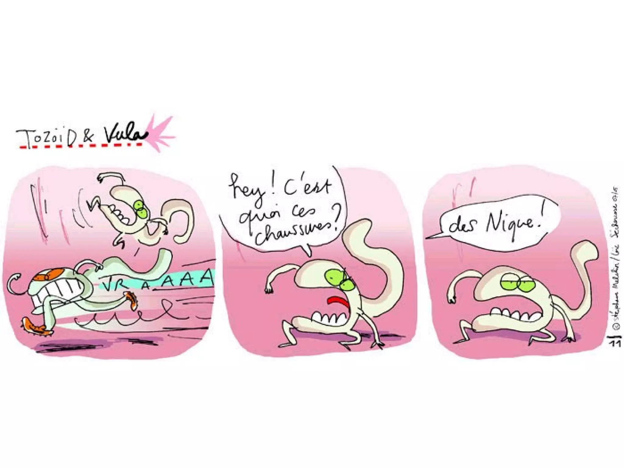 Tozoid Et Vula | PPT