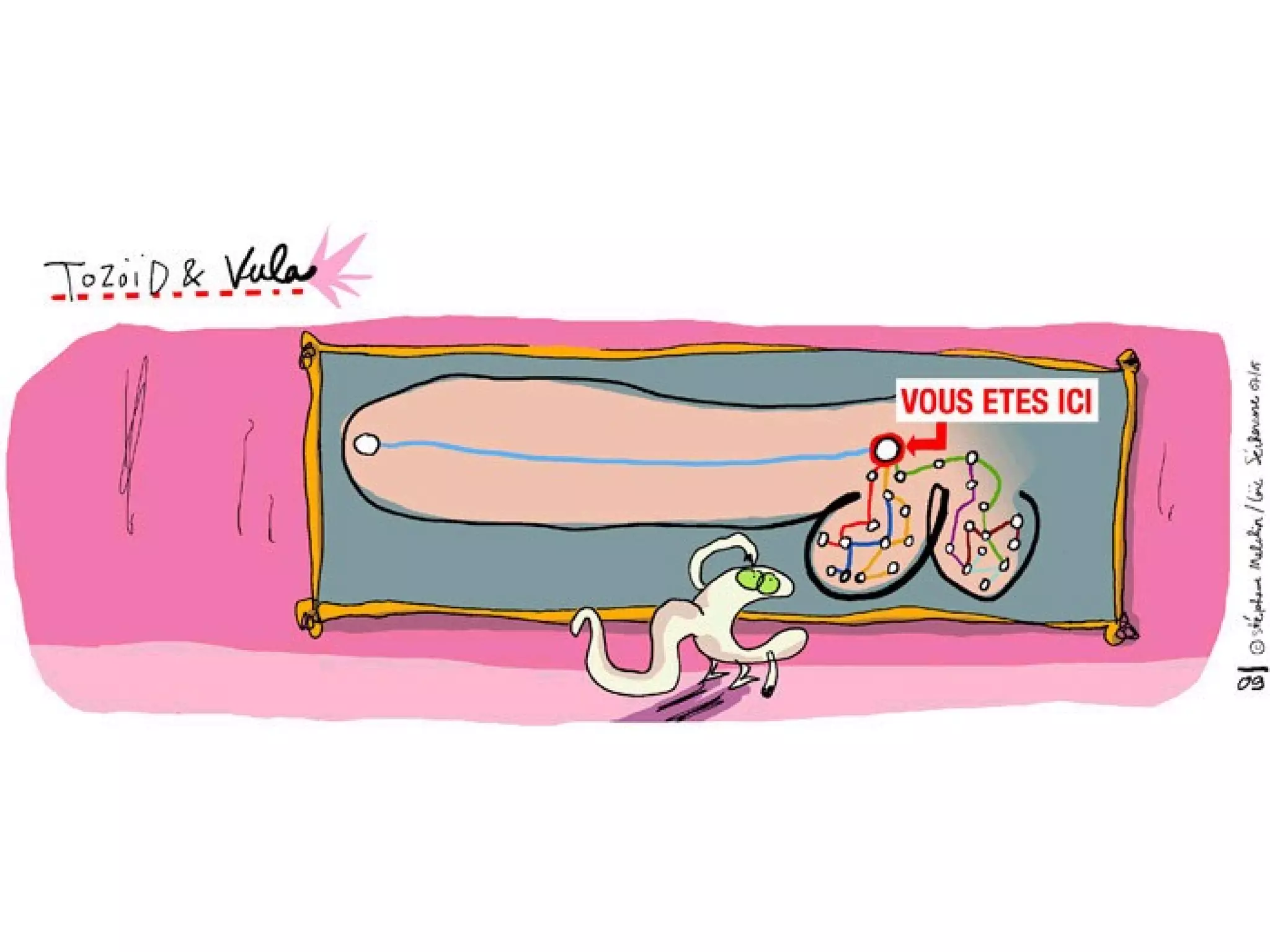 Tozoid Et Vula | PPT