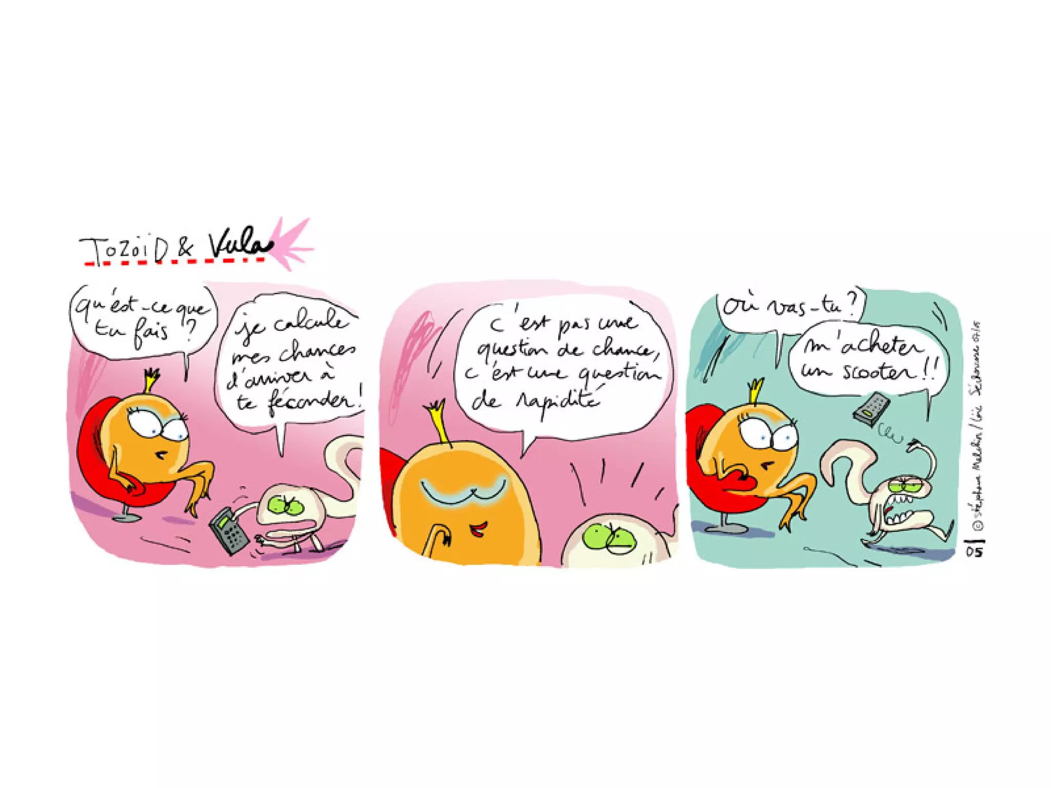 Tozoid Et Vula | PPT