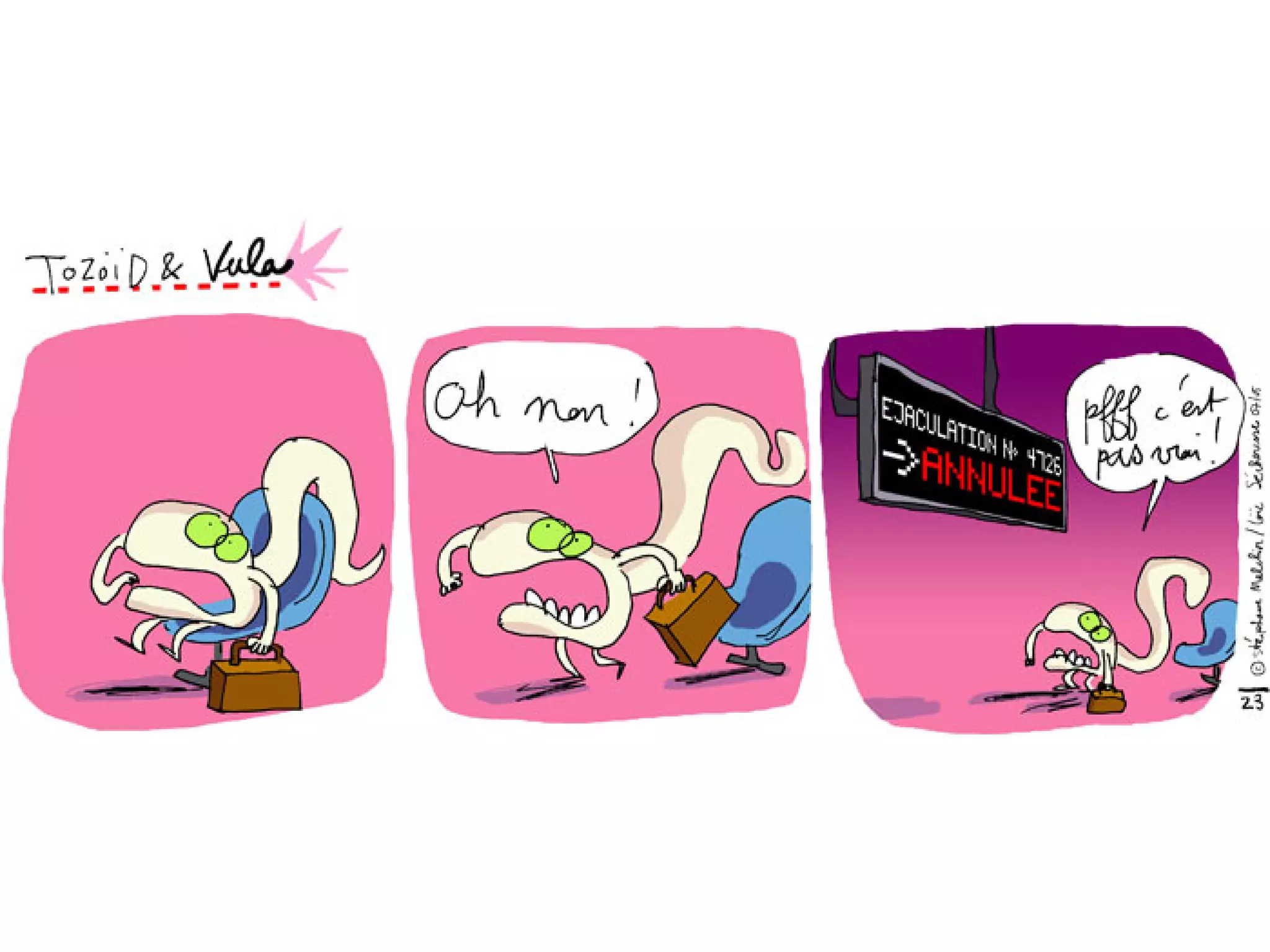 Tozoid Et Vula | PPT