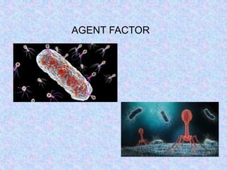 Epidemiological Traid.pptx | Infectious Diseases | Diseases and Conditions